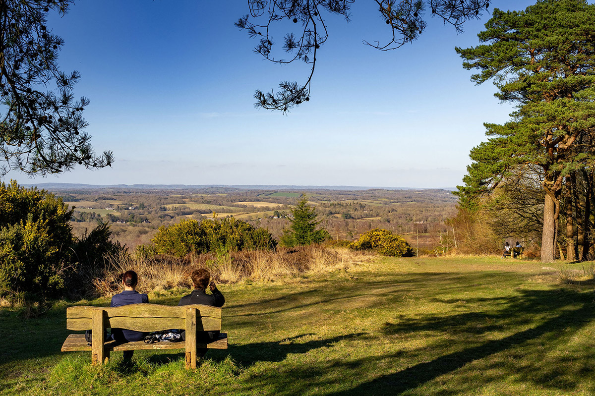 The Limes | Elivia Homes